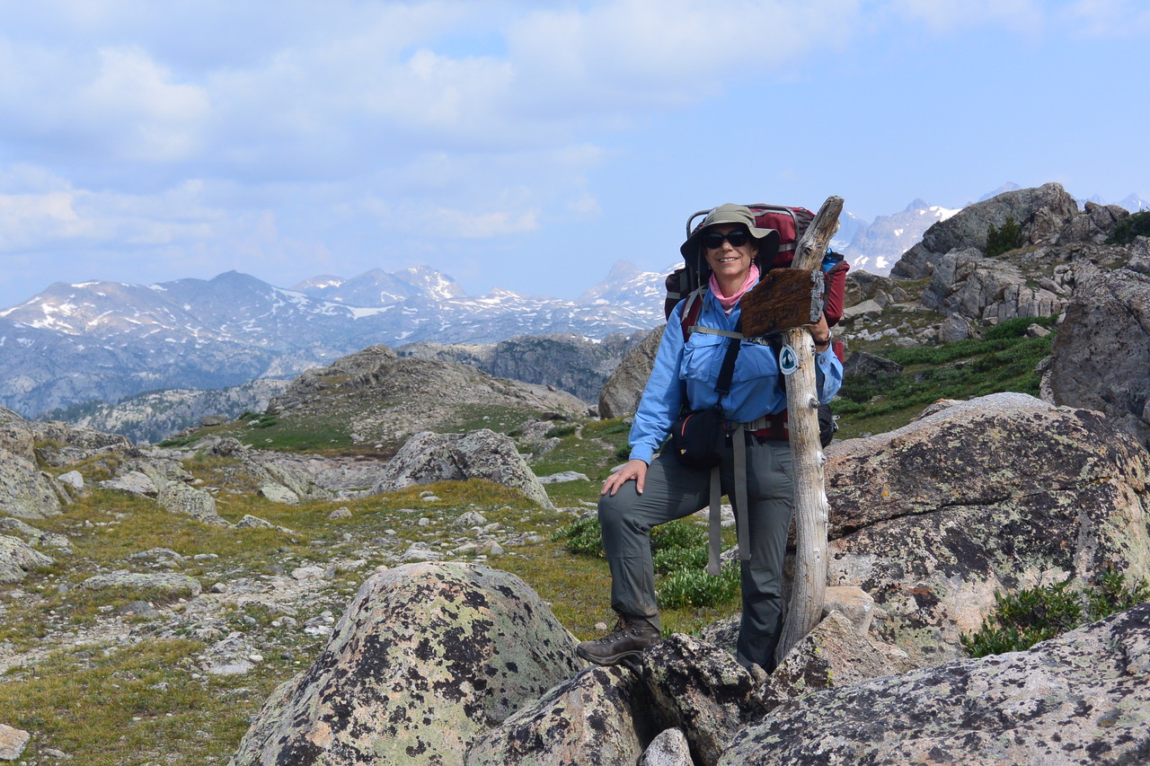 Think Globally, Act Locally: Interview with Cindy Perry - JPHMP Direct